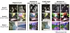 This could block AI models from ripping off artists