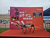 Robot dog runs marathon in South Korea