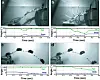 Boffins glue self-righting ROBO-VELOCIRAPTOR tail to car
