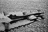In search of the Caspian Sea Monster