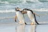 Gentoo and NetBSD ban 'AI' code, but Debian doesn't – yet