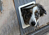 Password killer FIDO2 comes bounding into Azure Active Directory hybrid ...